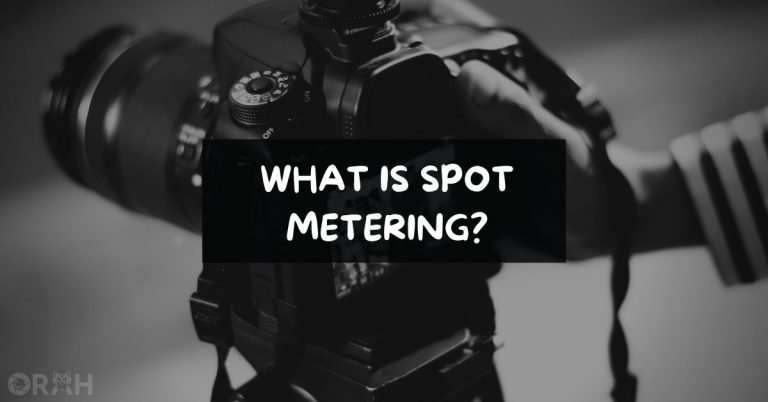 What Is Spot Metering In Photography? (Explained) - Orah Co