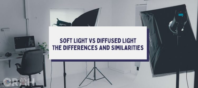 Soft Light vs Diffused Light? (Differences Discussed) - Orah Co