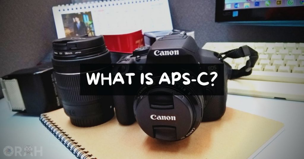 What Is APS-C? How Do APS-C Cameras Work? - Orah Co