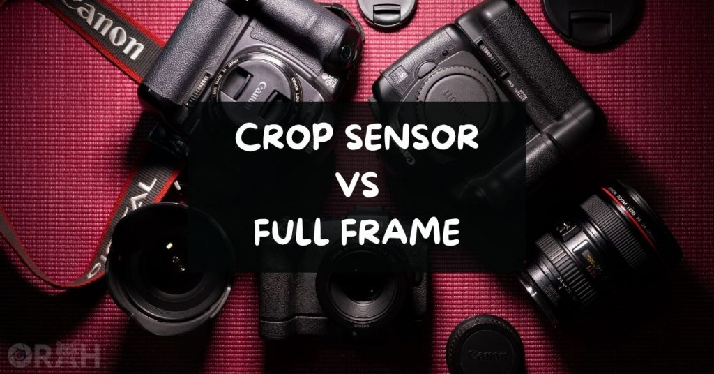 Crop Sensor vs Full Frame: Which One Is Better? - Orah Co