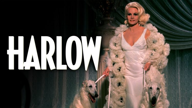 Exploring Marina Ghane: Her Journey, Achievements, and Influence