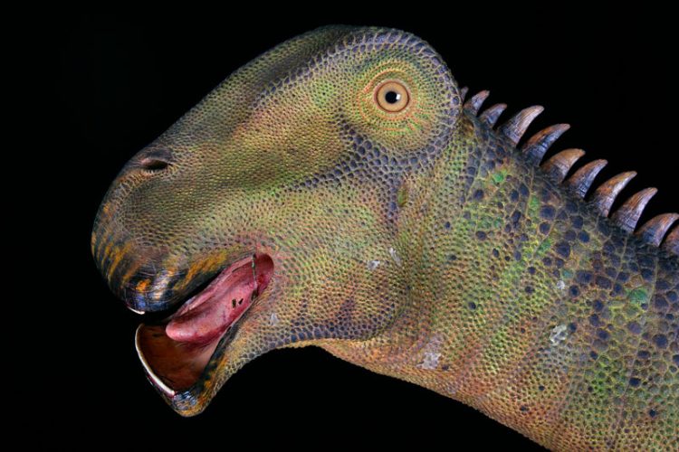 What Dinosaur Has 500 Teeth? A Comprehensive Exploration